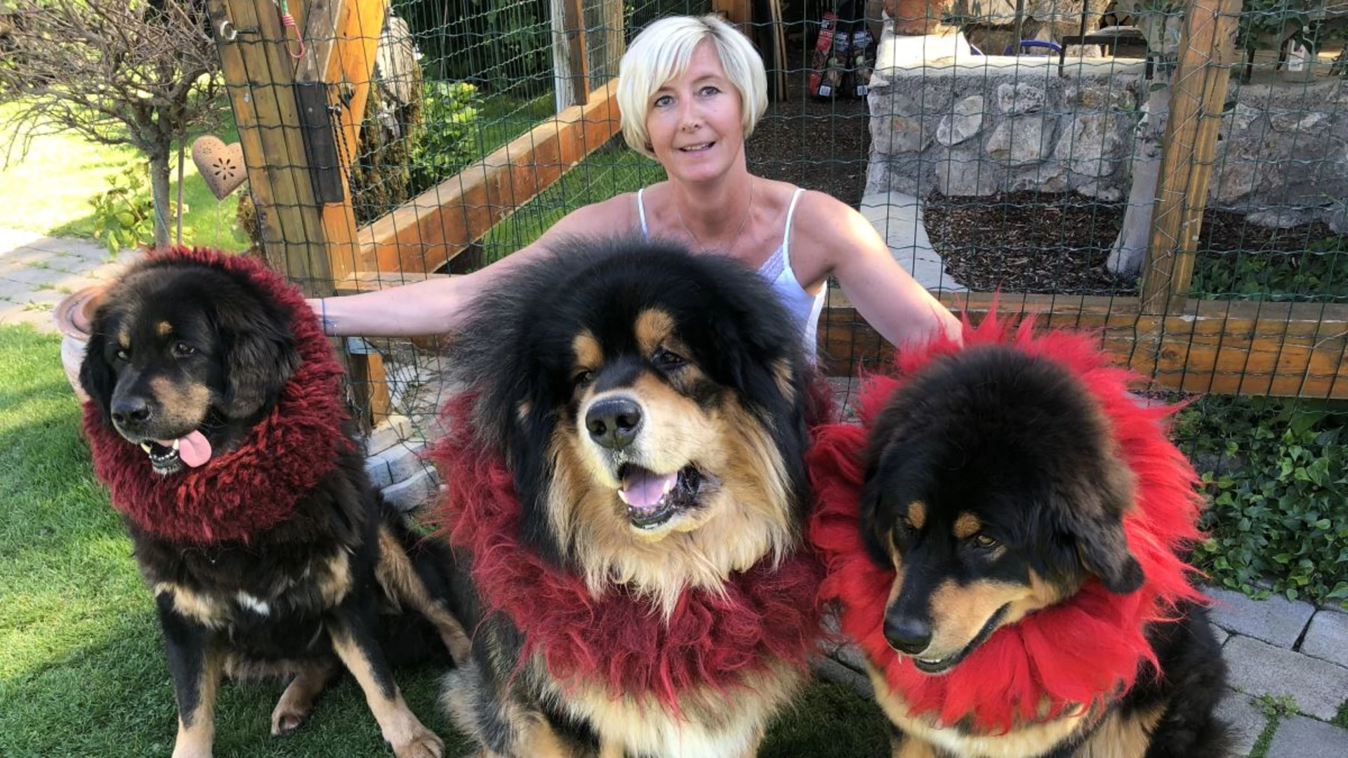 Mein Haustier - besser als jeder Mensch - ServusTV On