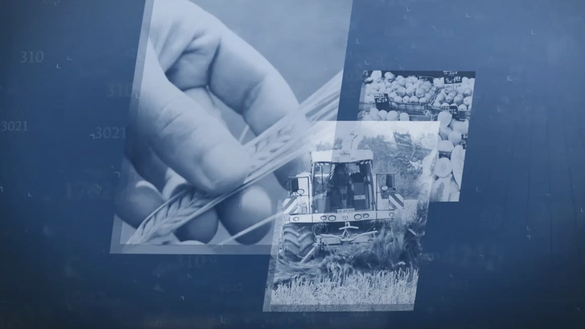 Servus Reportage in der Mediathek bei ServusTV On