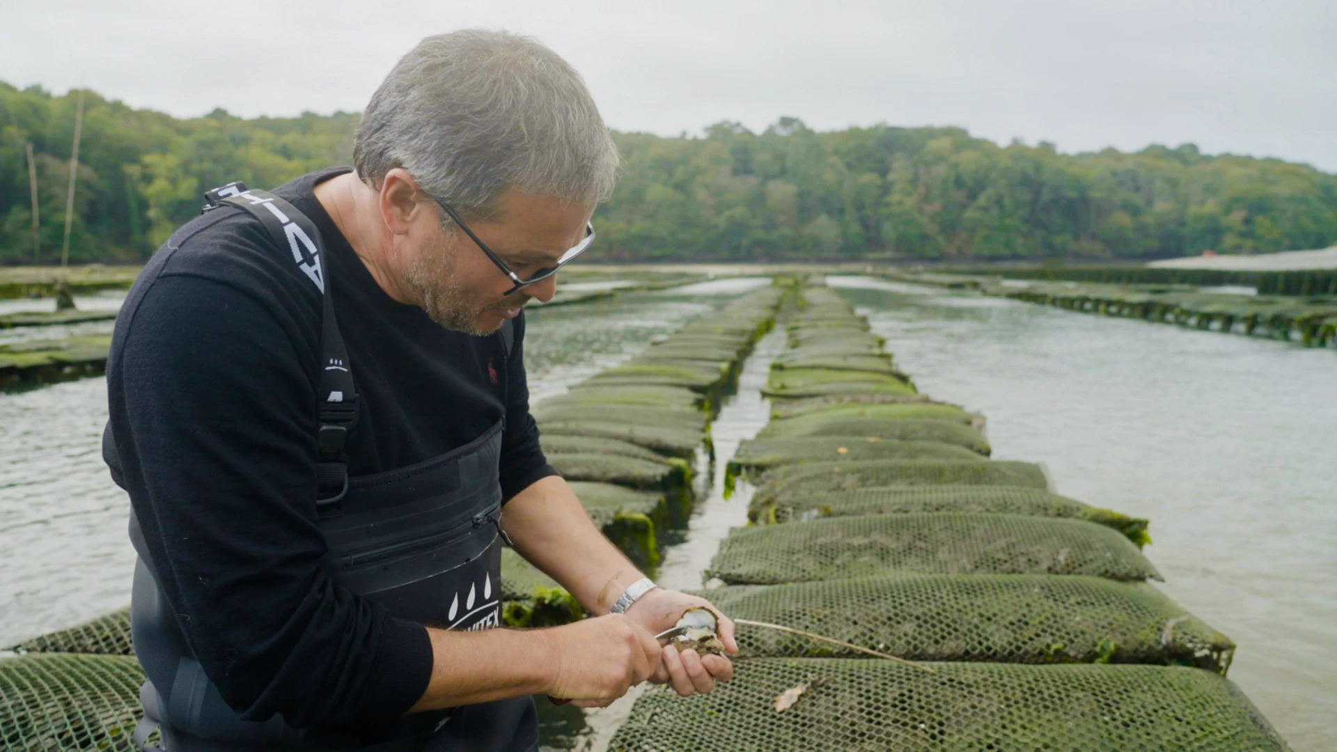 Die Edel-Auster der Bretagne - ServusTV On