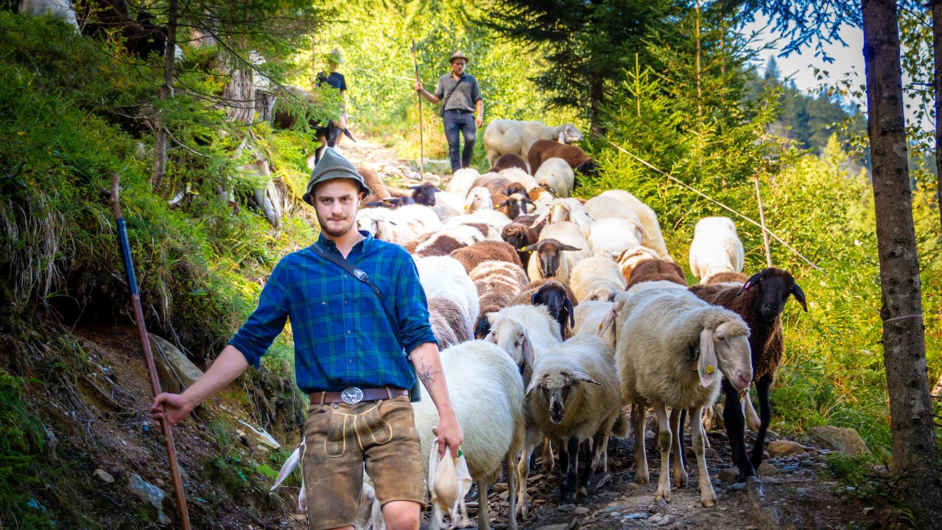 Heimatleuchten in der Mediathek bei ServusTV On